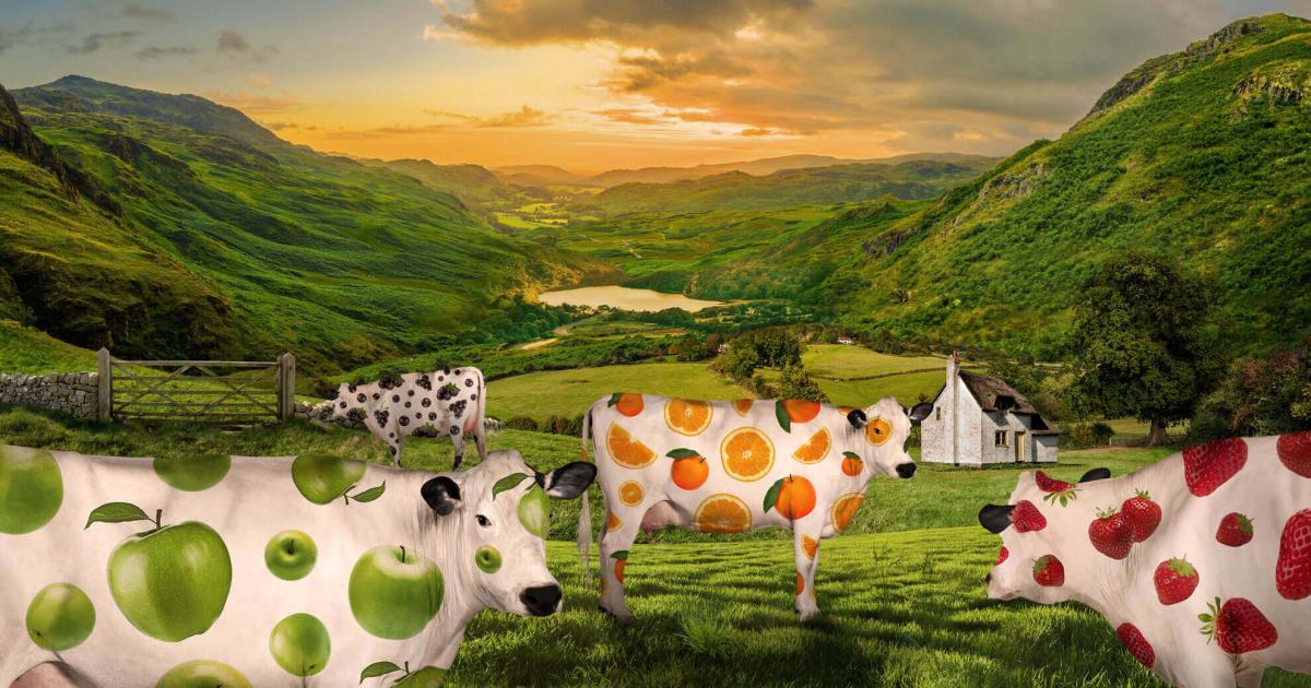 Fiora; The Birth of the Juce Cow: Making Altrajuce Stand Out